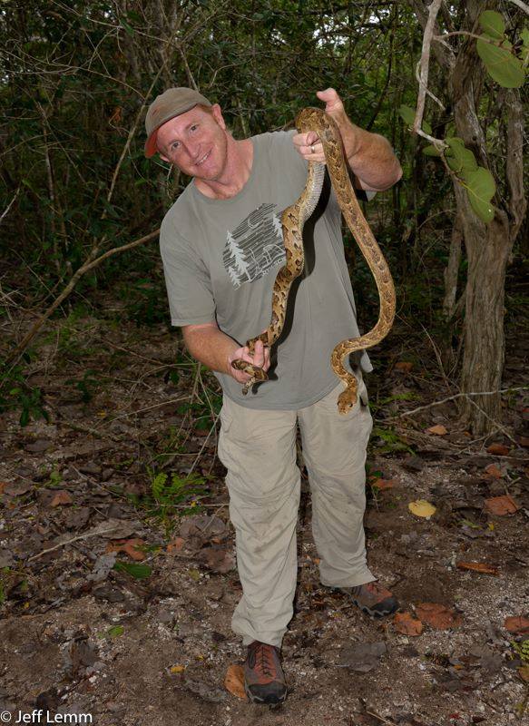 Episode 29: Jeff Lemm | So Much Pingle